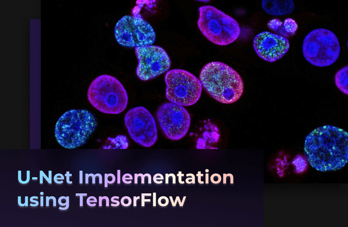 U Net 모델 리뷰 U Net 구현으로 배우는 딥러닝 논문 구현 With Tensorflow 20 딥러닝 의료영상 분석